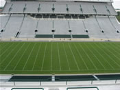 Spartan Stadium Seating Chart