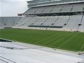 Spartan Stadium Seating Chart